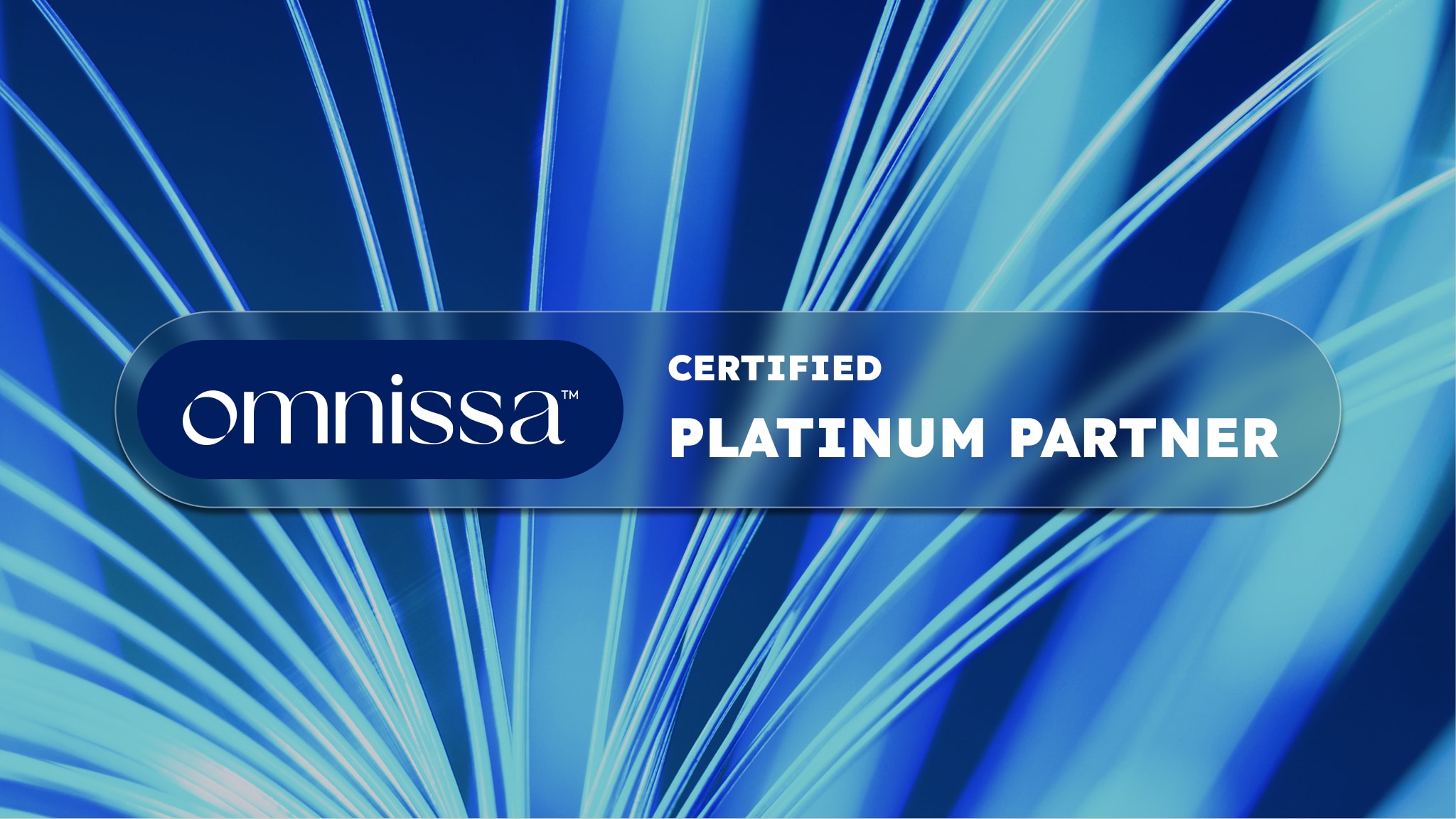 Omnissa and evoila – PLATINUM Partnership for the Digital Workplace of ...
